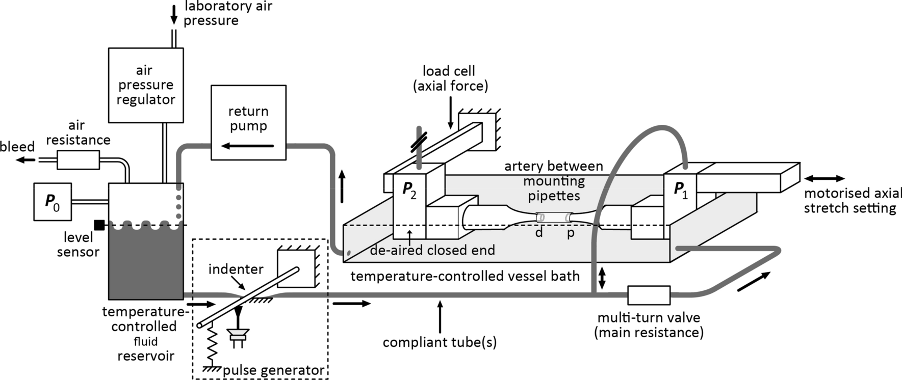 DynamX – DynamX: Dynamic eXcitation to understand arterial stiffening ...